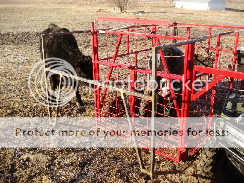 ATV Calf Cages | Ranchers.net
