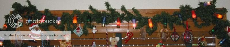 Bird Hunters Christmas Lights | SuperCub.Org