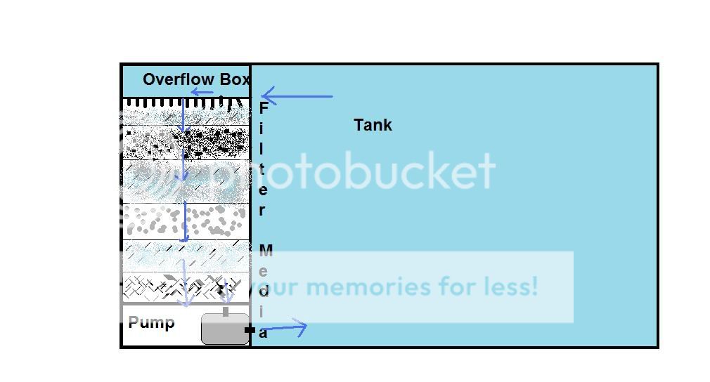 Overflow Boxes as filters | Cichlid Fish Forum