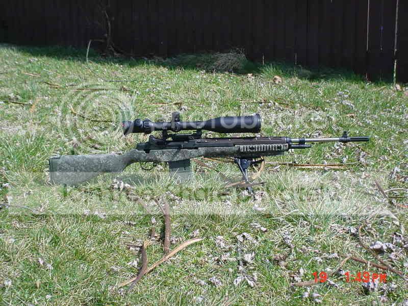 show me your painted M1A-M14 STOCKS | M14 Forum