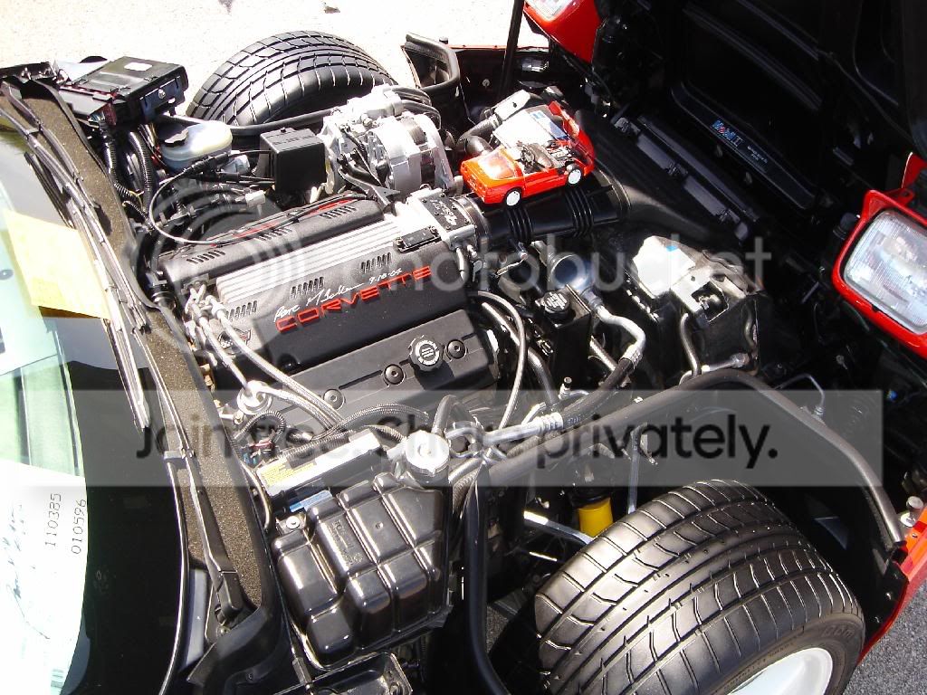 Pics of my 96LT1 engine - Page 2 - CorvetteForum - Chevrolet Corvette ...
