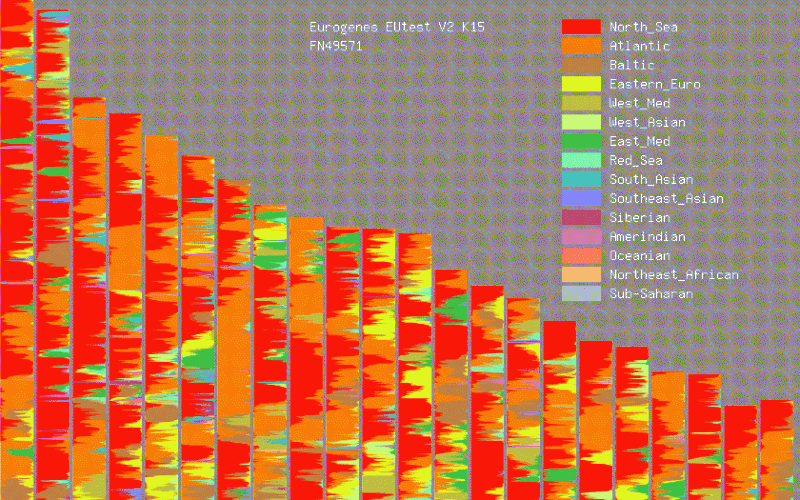 Post your Eurogenes EUtest V2 K15 Reduced Size Chromosome Painting