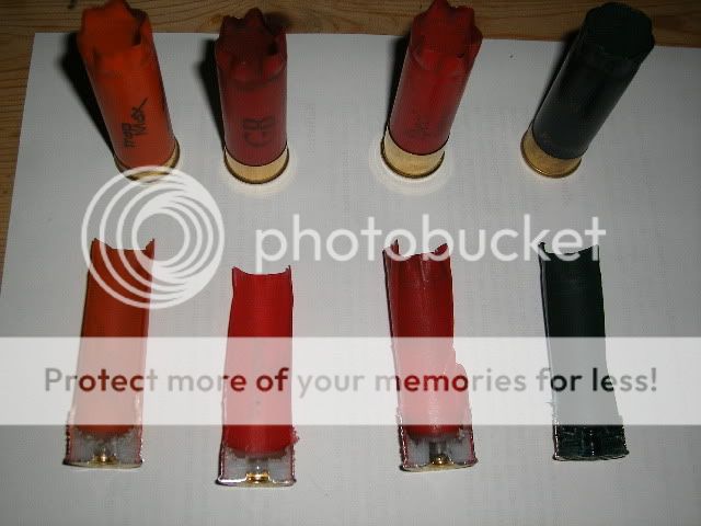 hull identification | Shotgun Forum