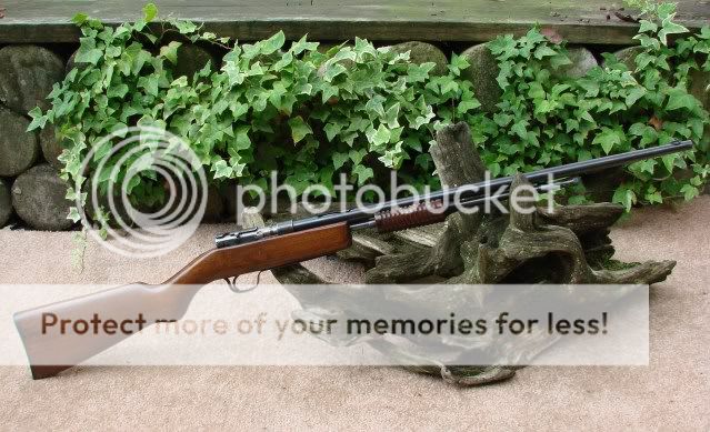 Cooey Model 35 Pump Action | Rimfire Central Firearm Forum