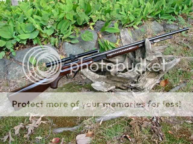 Pump 22's! | Page 6 | Rimfire Central Firearm Forum