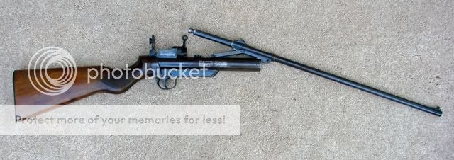 22 air trainer | Gunboards Forums