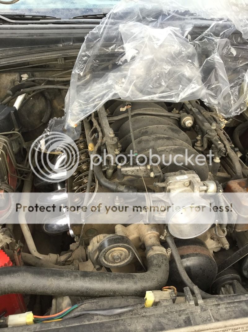 Finally finished cleaning up my gto engine bay. | Detailing World Forum