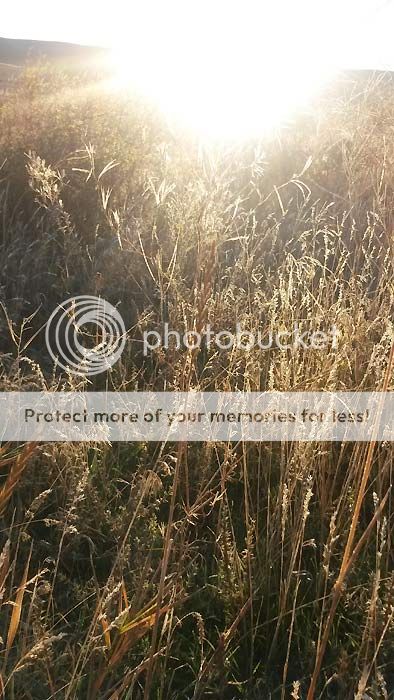 RR: Taneum hold em... fold em | Mountain Bike Reviews Forum