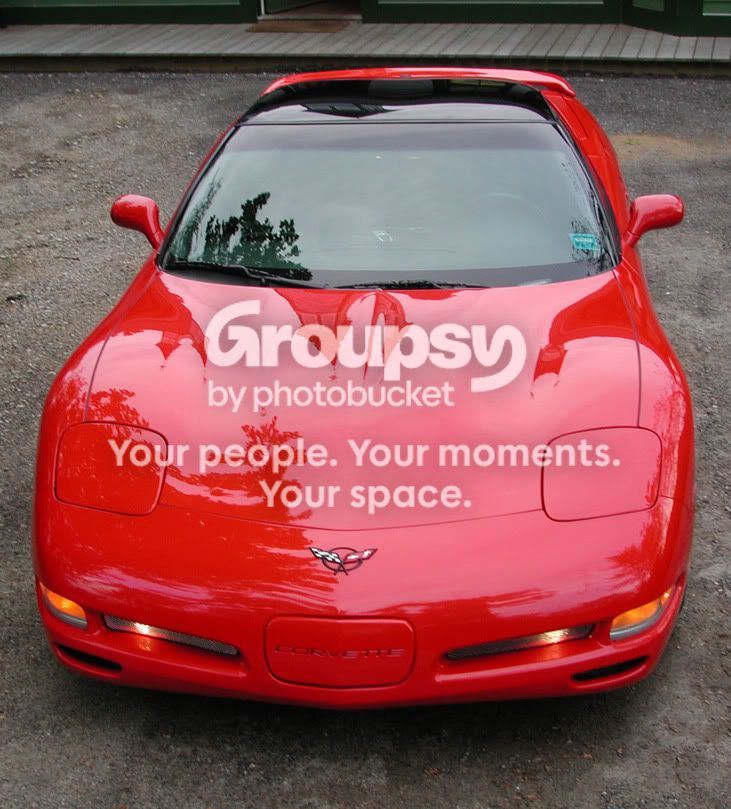 Lets See Your Big Nose! - Page 4 - CorvetteForum - Chevrolet Corvette ...