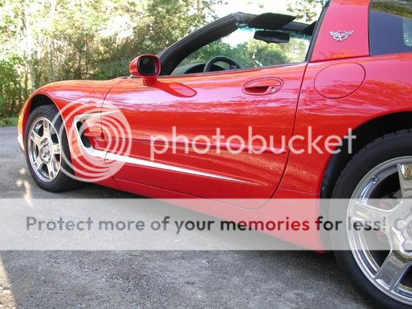 Pinstriping - CorvetteForum - Chevrolet Corvette Forum Discussion