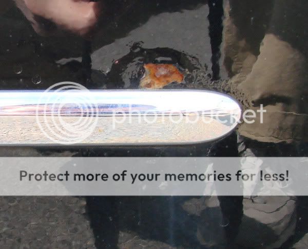 Post here if your B6 has rust | VW Vortex - Volkswagen Forum