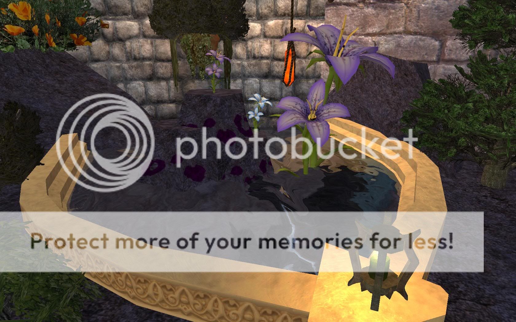 Waterfalls, anyone? | EverQuest 2 Forums