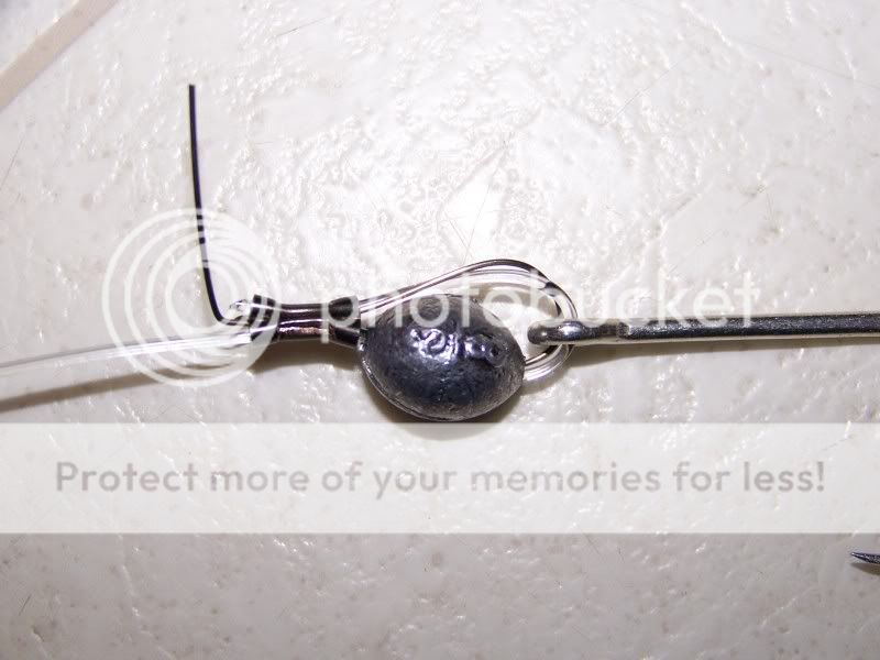 Ballyhoo size and weights | Tidal Fish Forum