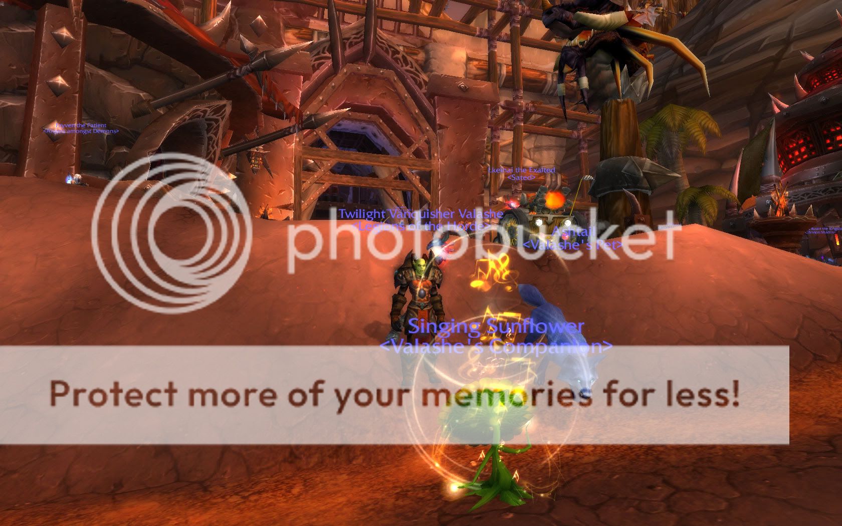 Meet my two newest pets: Ashtail and I.R.! (image warning) - WoW ...