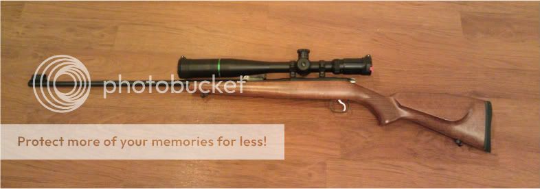 CZ Scope and Ring Reference | Page 9 | Rimfire Central Firearm Forum