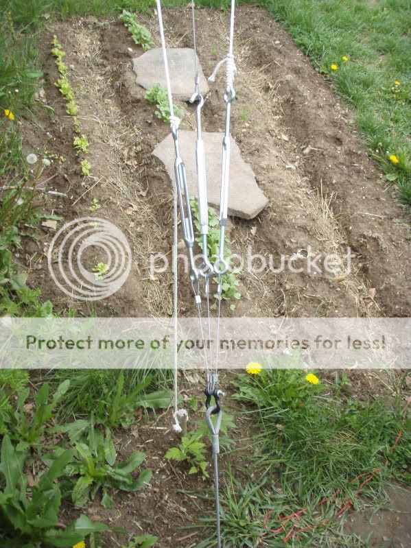 My hop trellis design | Homebrew Talk - Beer, Wine, Mead, & Cider ...